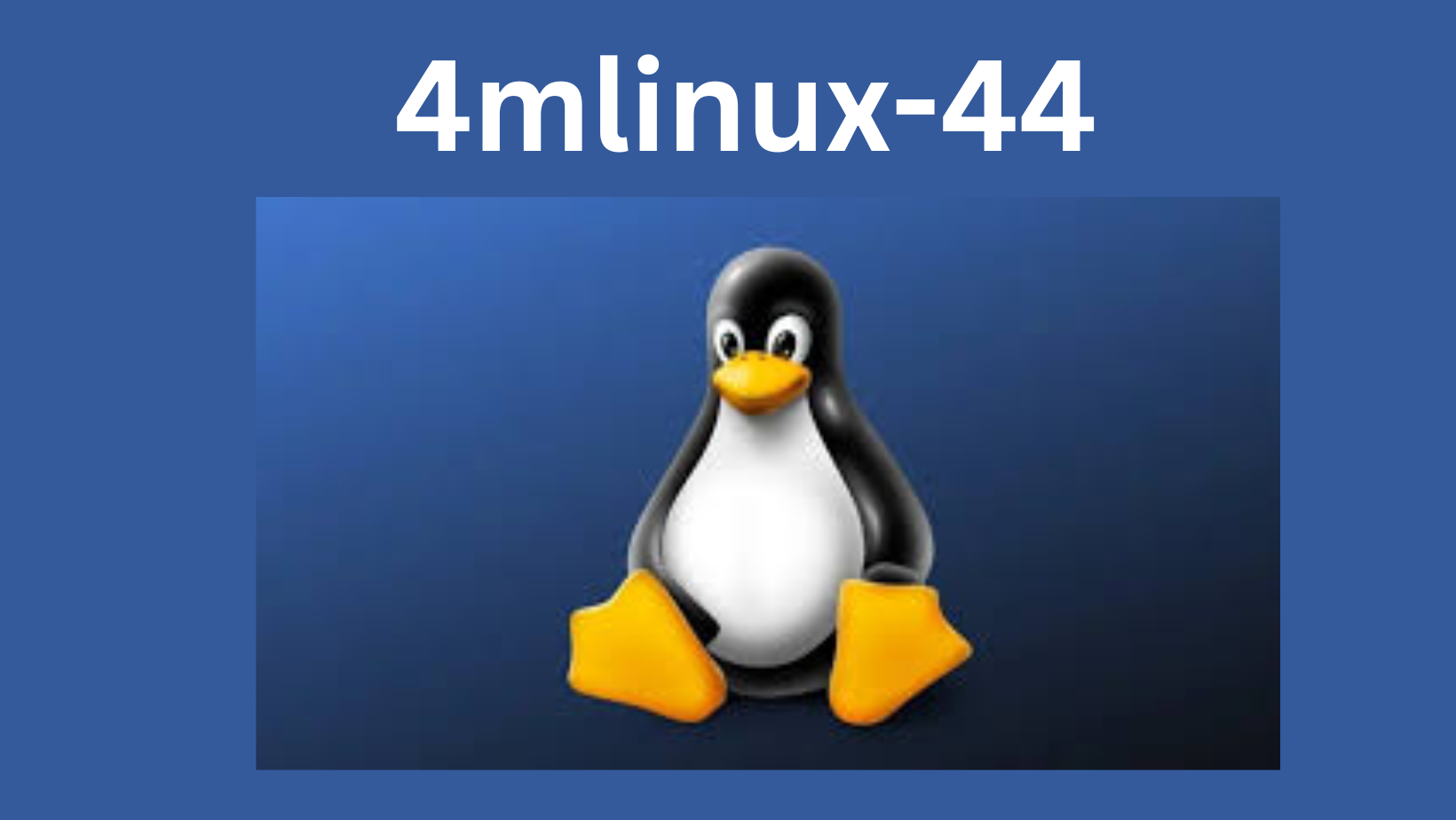 4MLinux 44: A Fast and Easy Linux with New and Improved Apps and Features - LinuxSolved.com ...